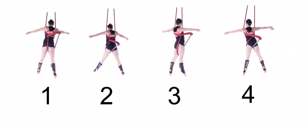 Guest Artists | www.aerialdancing.com